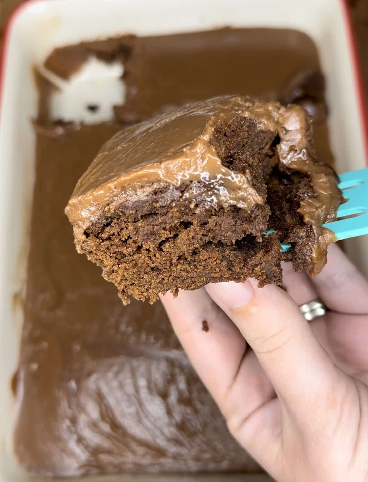 Brownies - Empire Prairie Farm